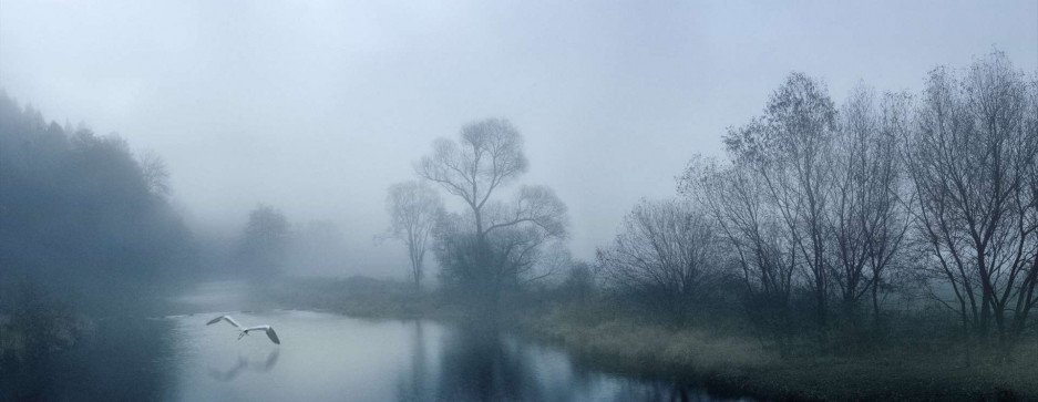 Landscape | Koen Demuynck